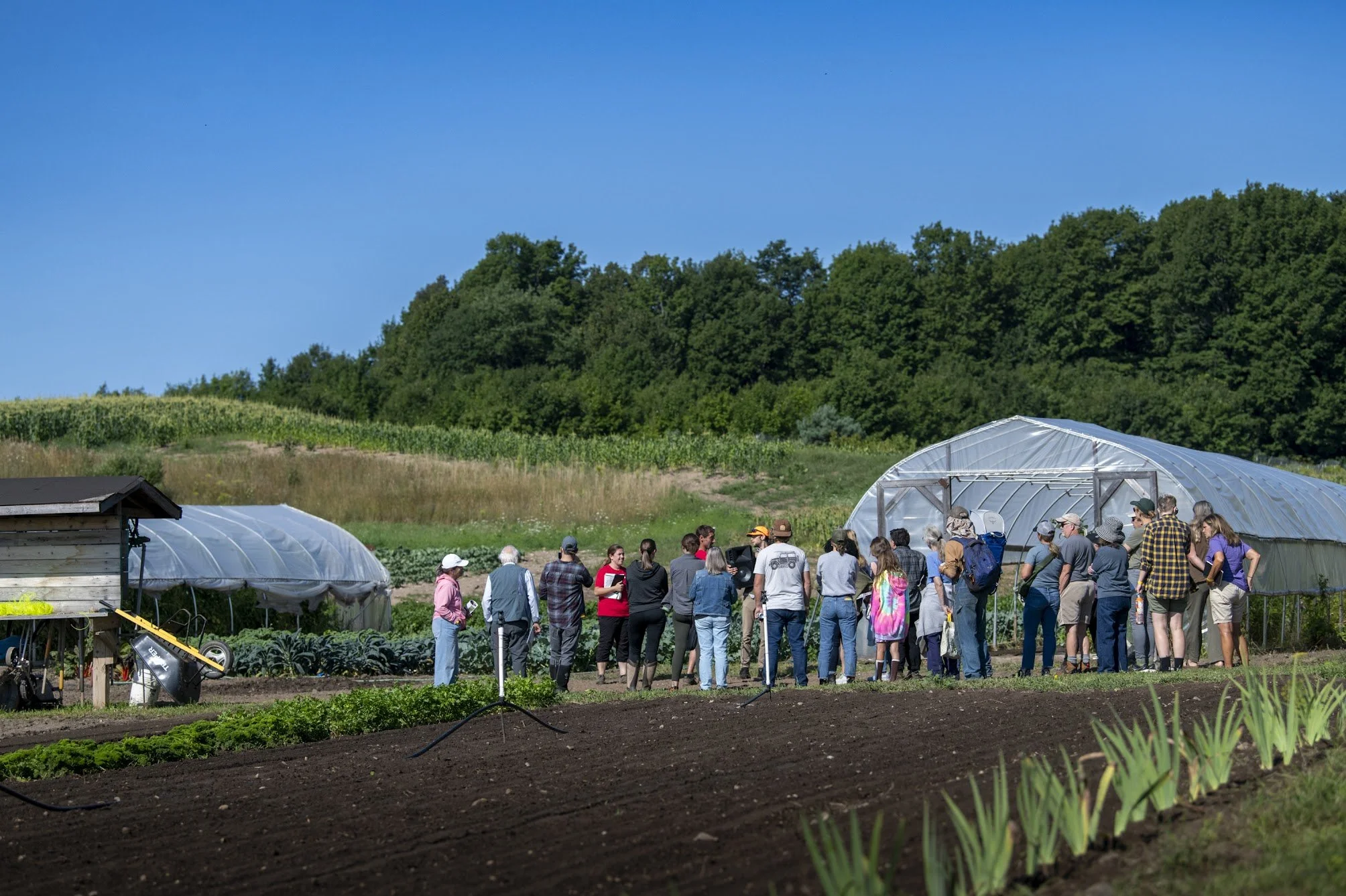 Crosshatch Center for Art and Ecology