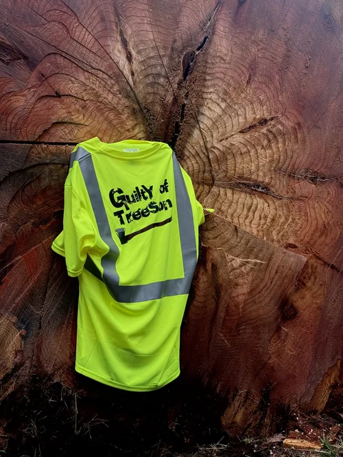Contact | Schedule Your Tree Service Today — Guilty of Treeson