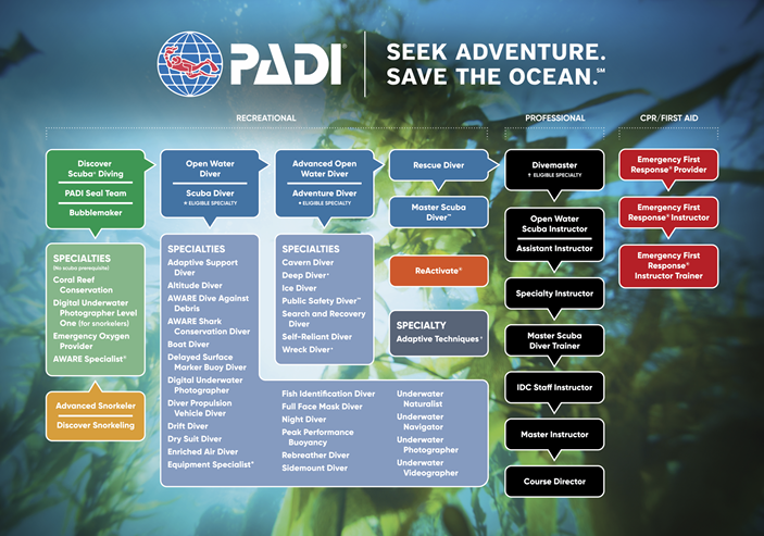 Training Courses | Oceandivers