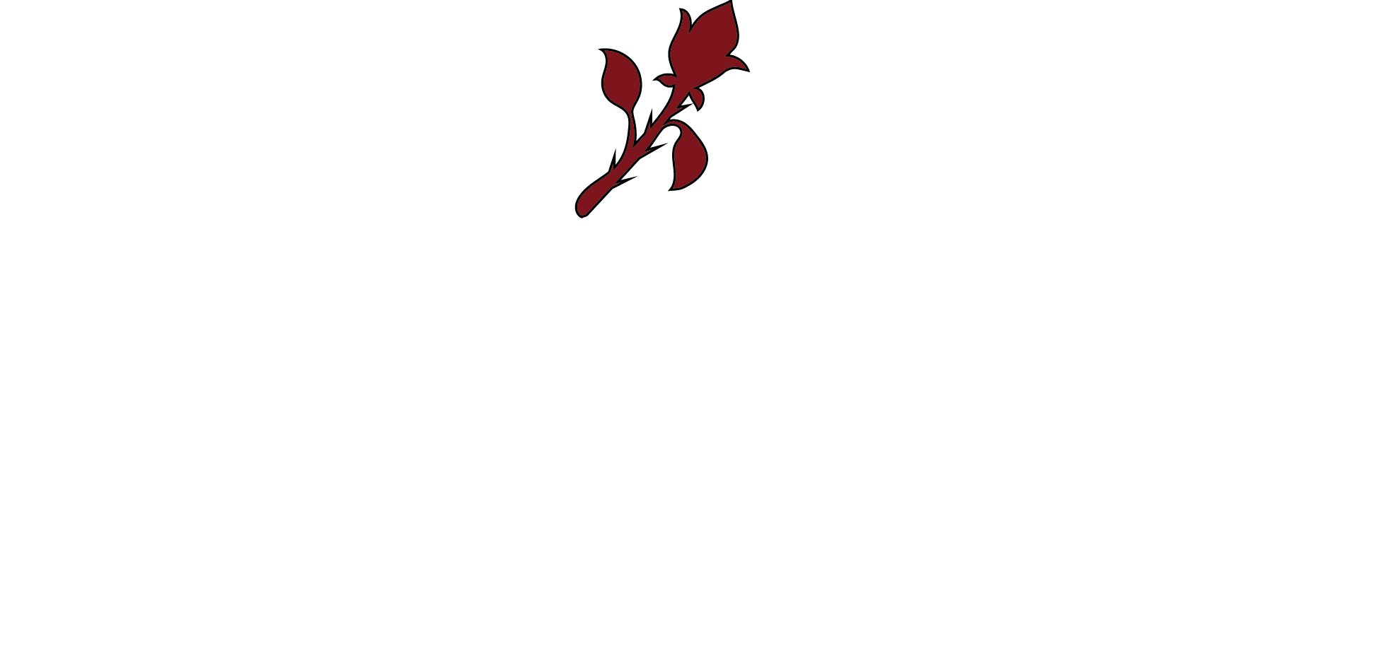 Mad Rose Gallery