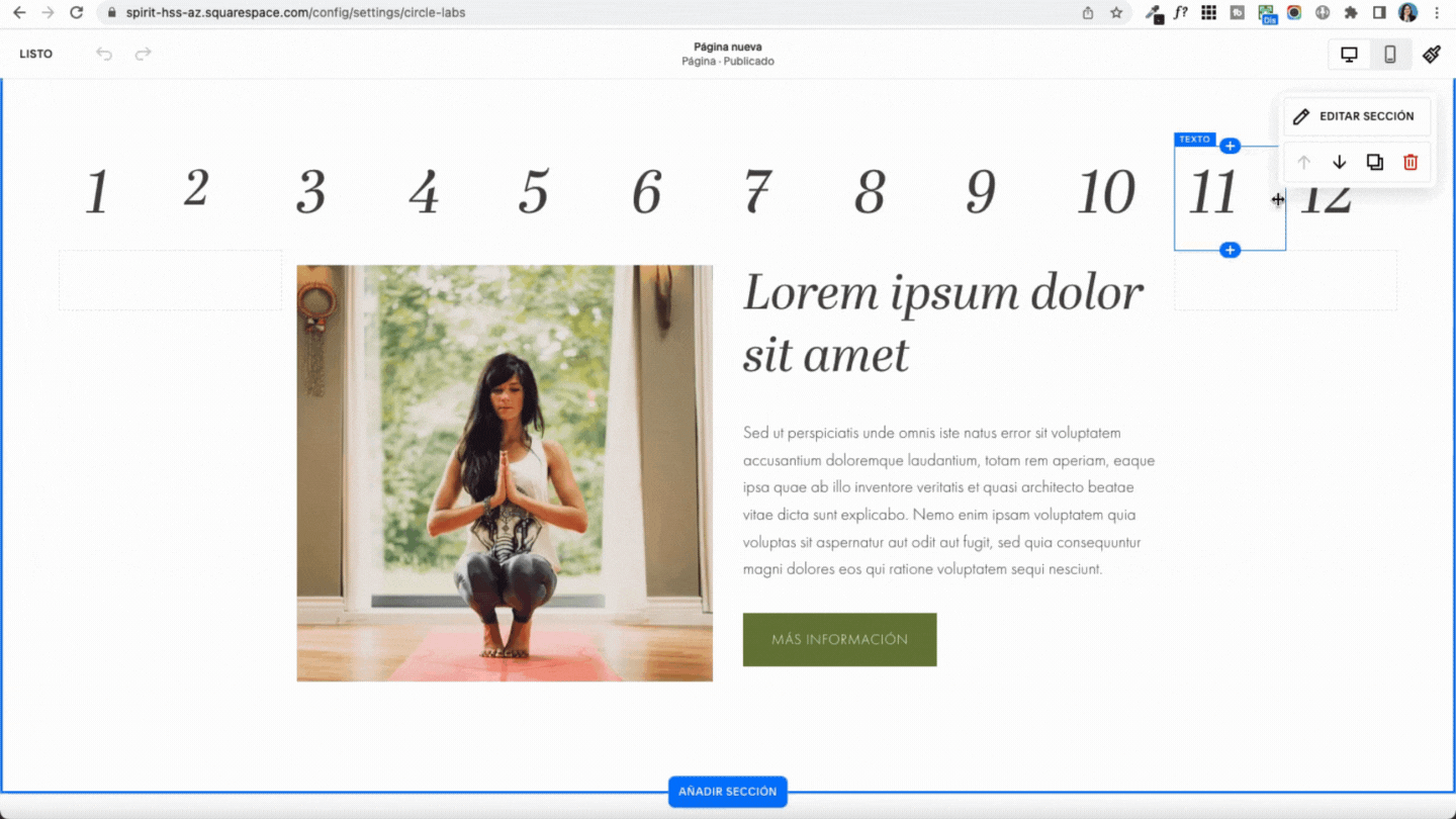 Editor dinámico, la nueva experiencia de diseño en Squarespace — Ale Zenteno | Diseño web y ...
