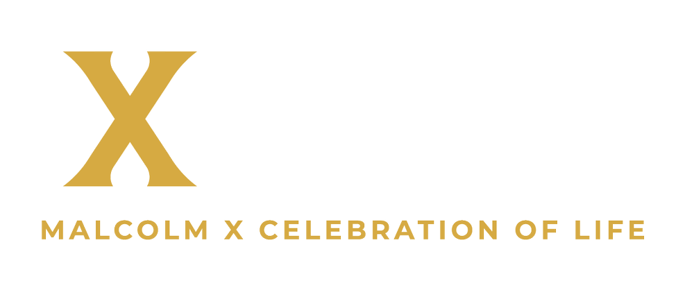 MX 100
