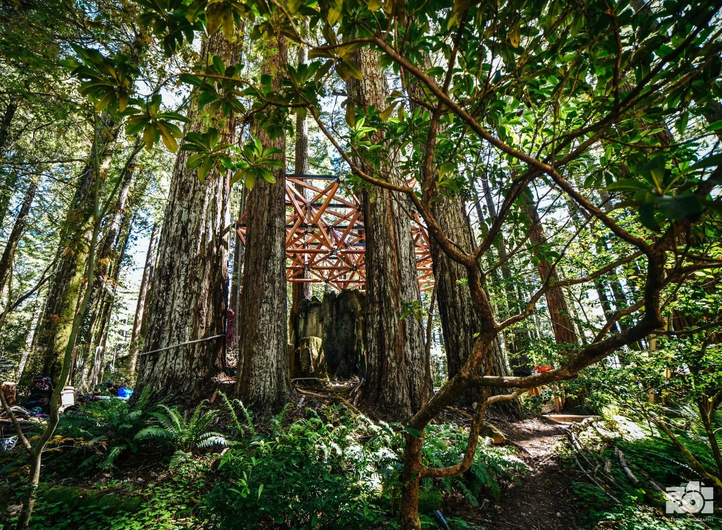 Build — O2 Treehouse