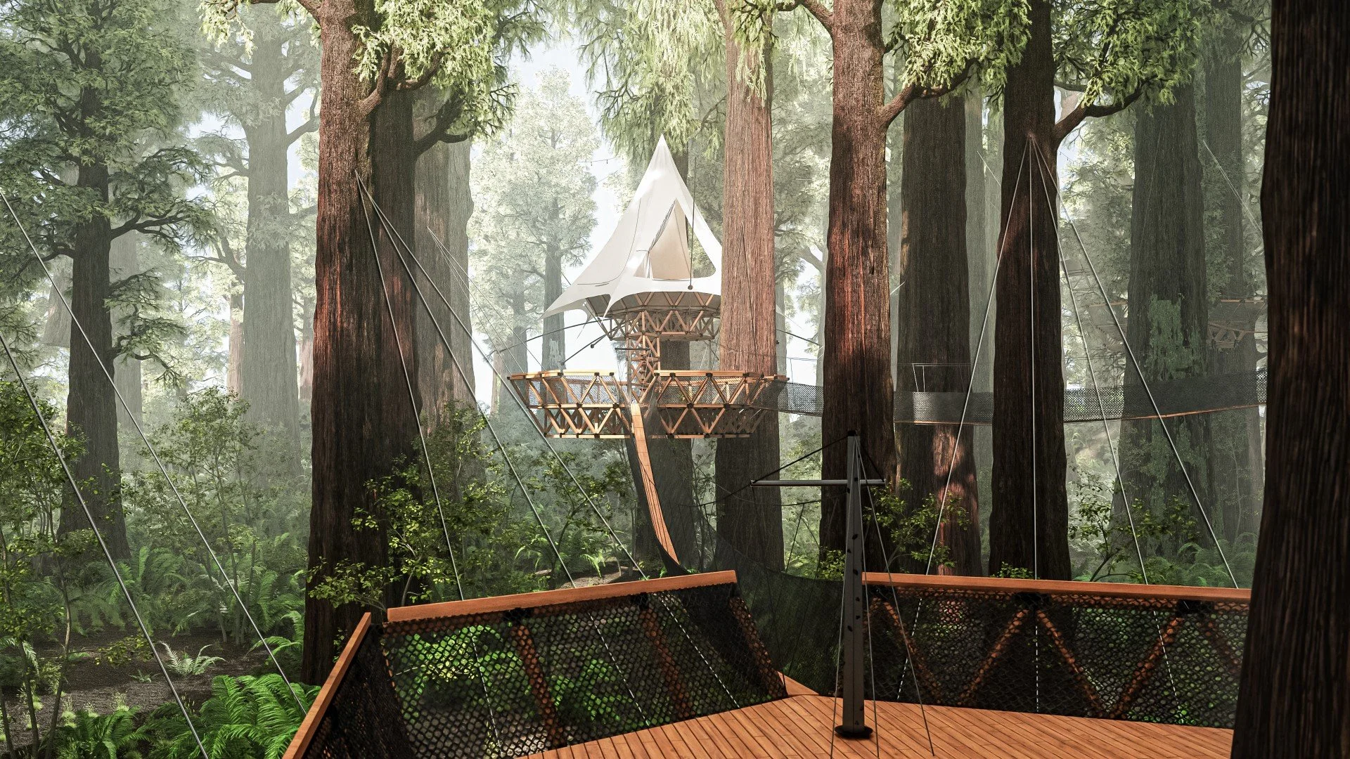 Invest — O2 Treehouse