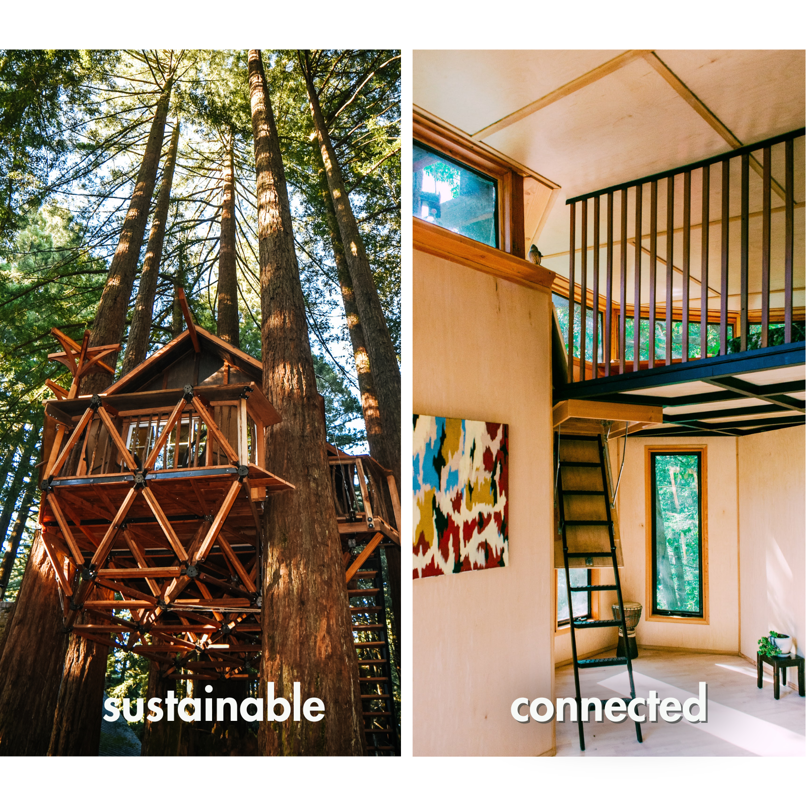 O2 Treehouse