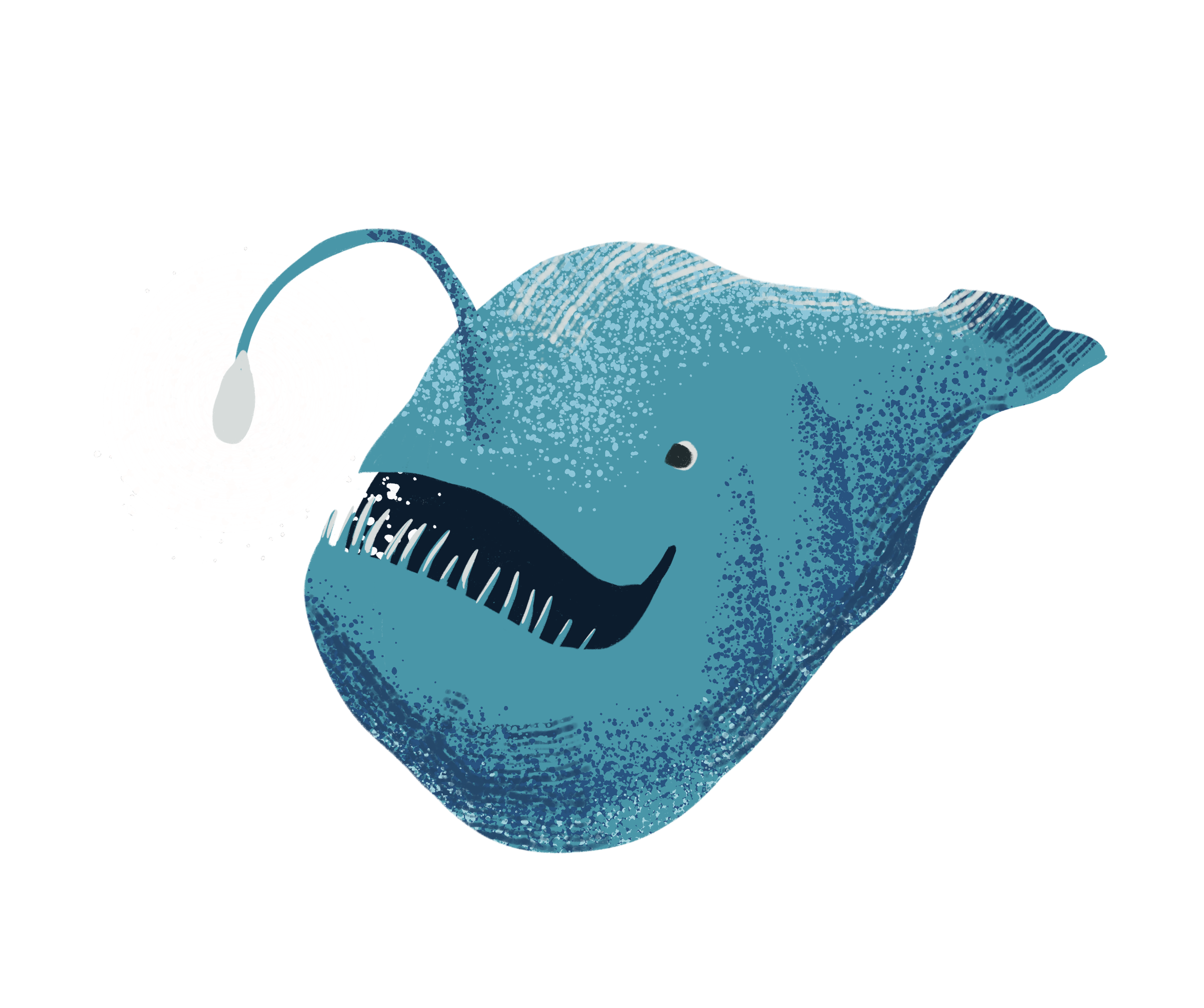 Diving Deep: Faith Among the Waves VBS Curriculum