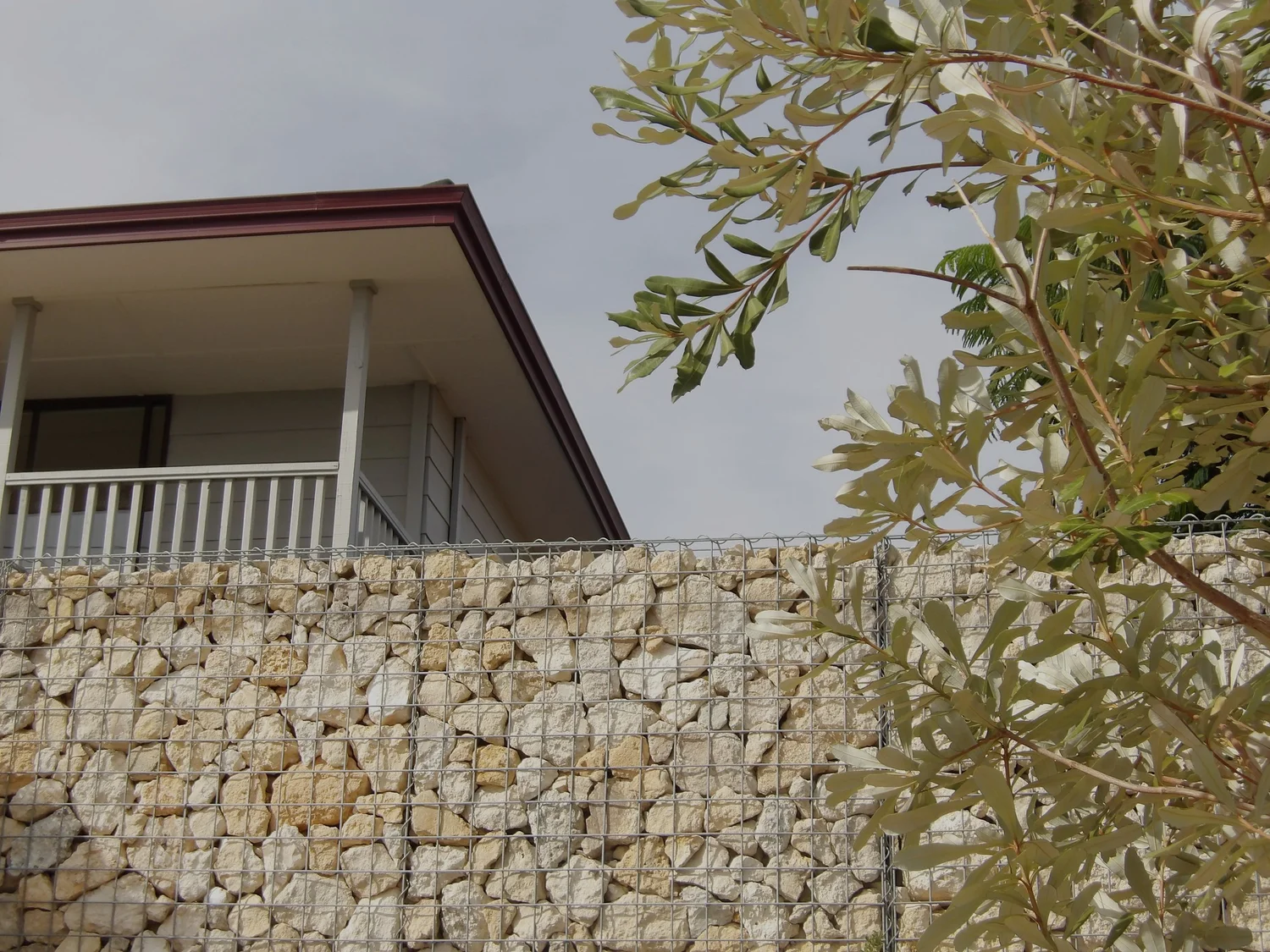 The Craypot - Design & Install — frond