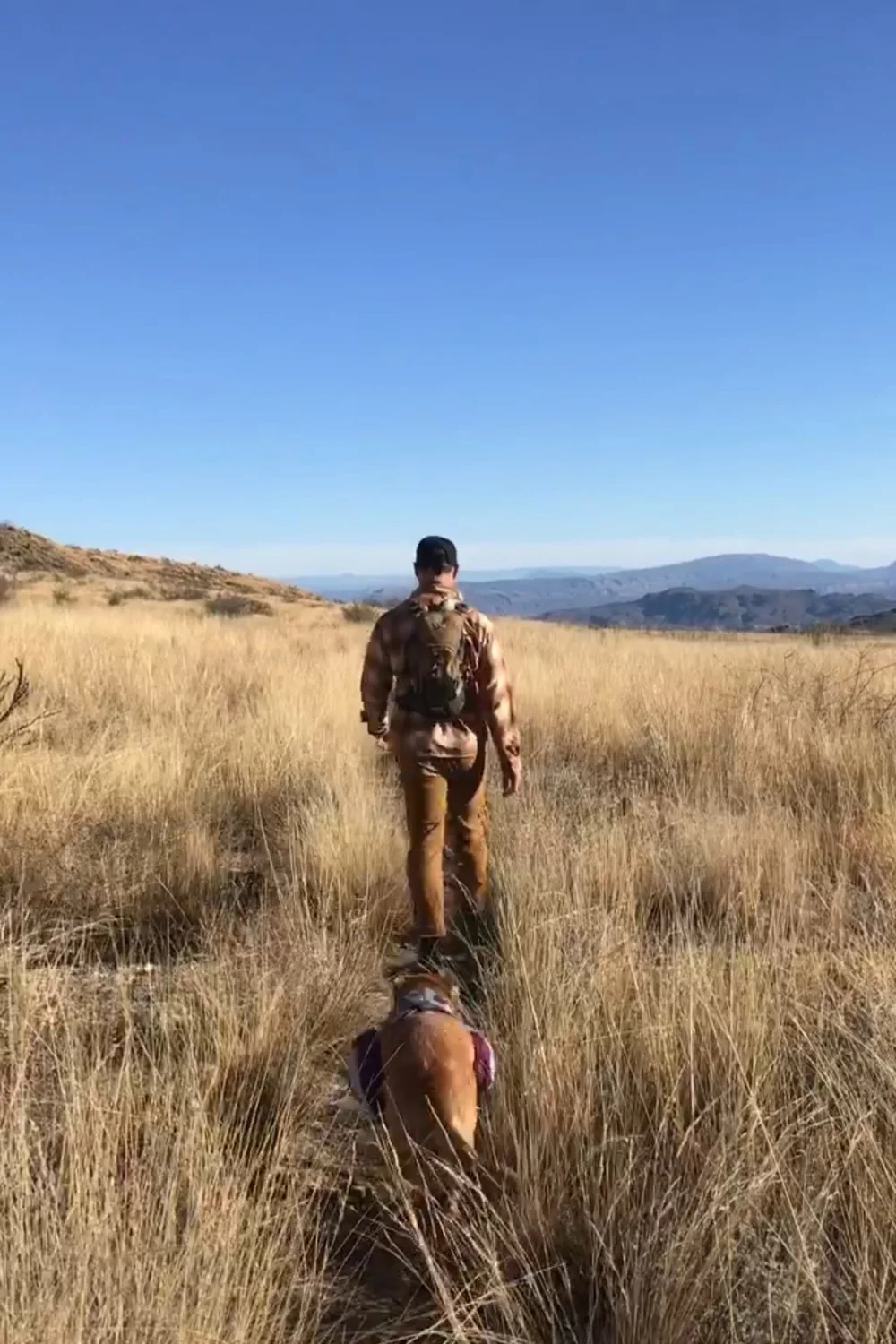 Waypoint Training Co. | Personal Training + Online Coaching