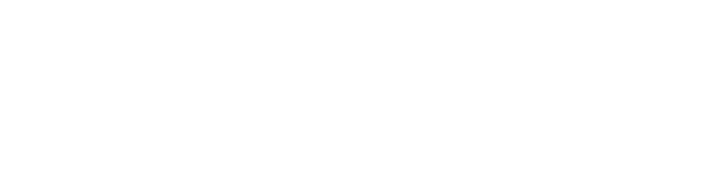 Shadow Protocol - The Game