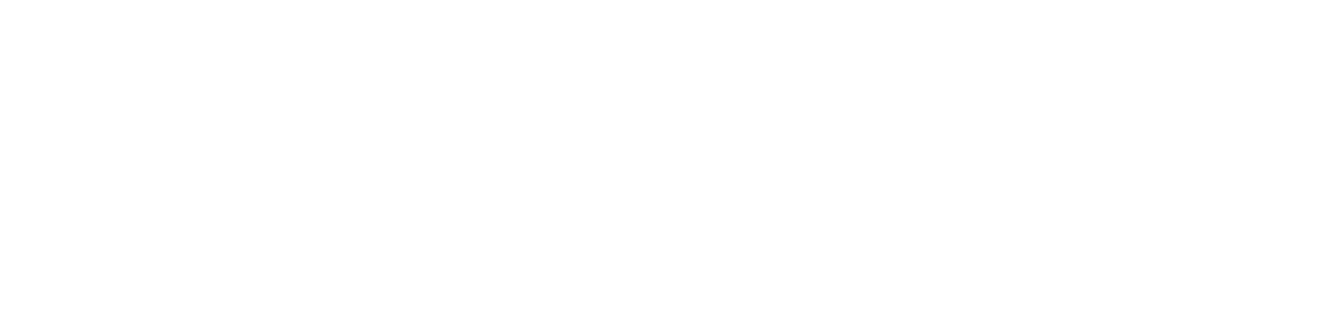 Shadow Protocol - The Game