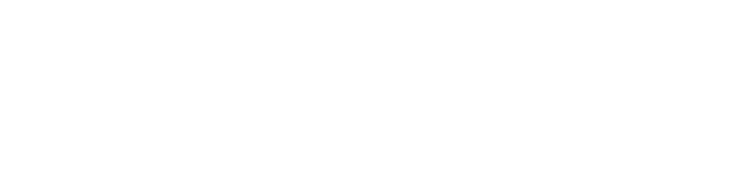 Shadow Protocol - The Game
