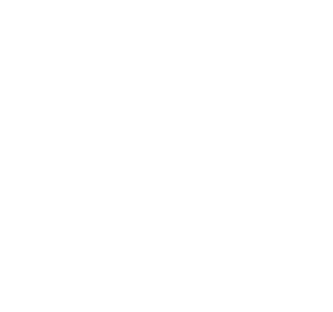 The Game — Shadow Protocol - The Game