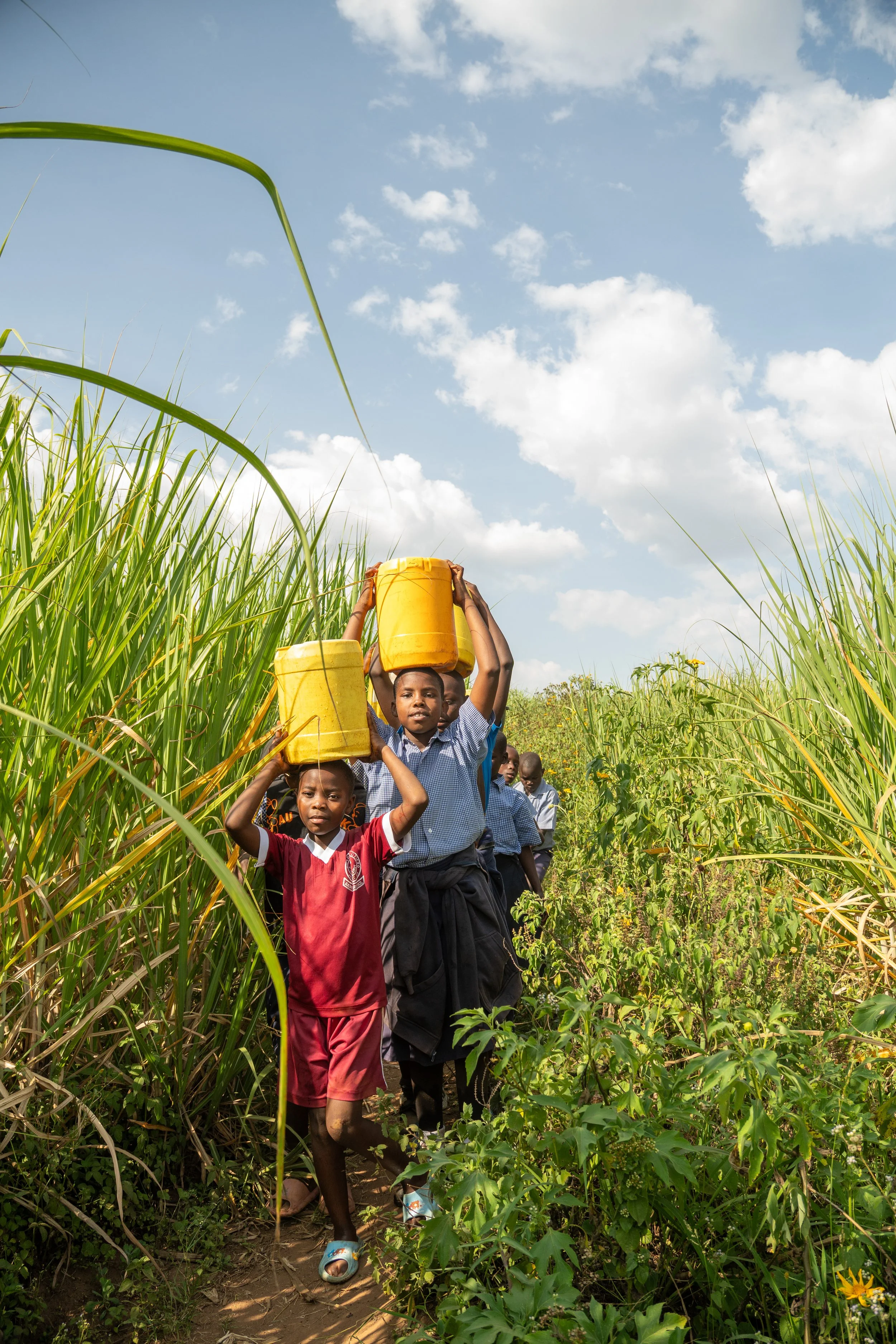 Clean Water For Everyone — Anita Wing Lee & Tim Muttoo