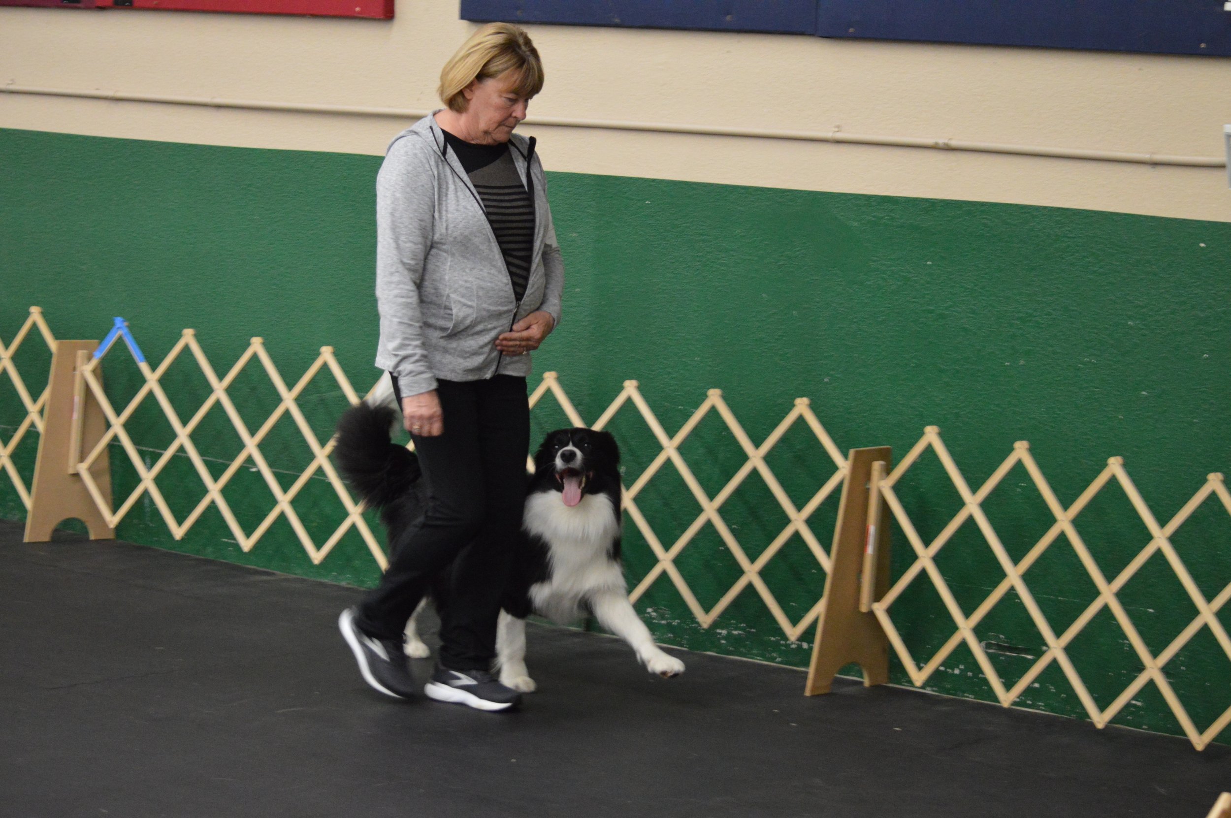 Tickets-ObedienceList — Forest City Dog Training Club, Inc.