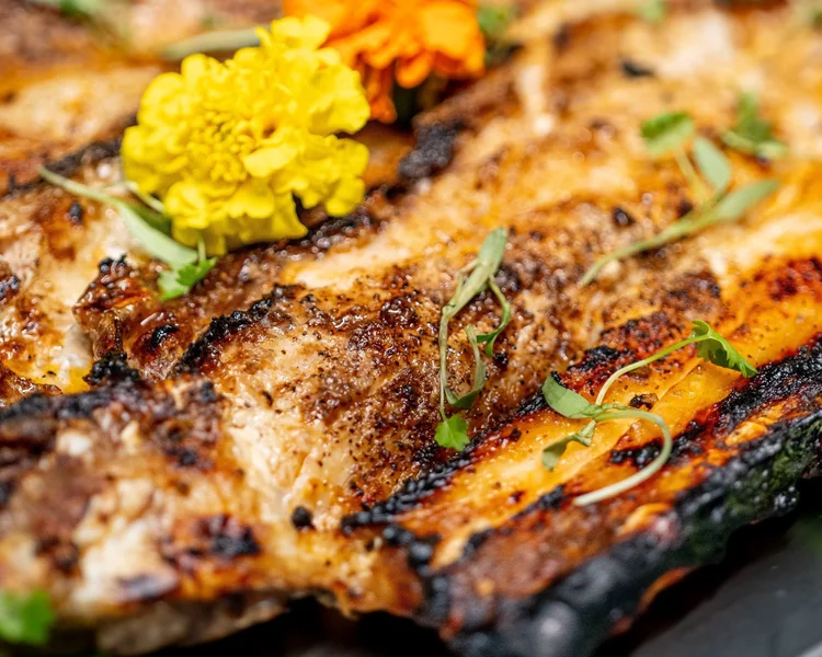 Xécora Restaurants | Discover Authentic Mexican Flavors