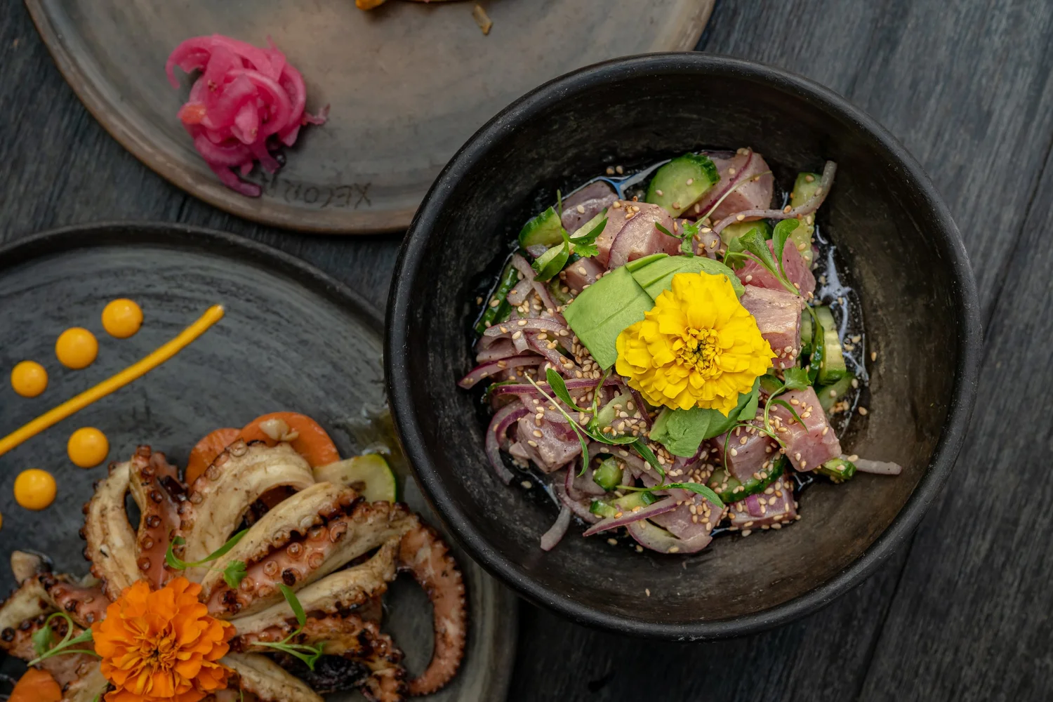 Xécora Restaurants | Discover Authentic Mexican Flavors