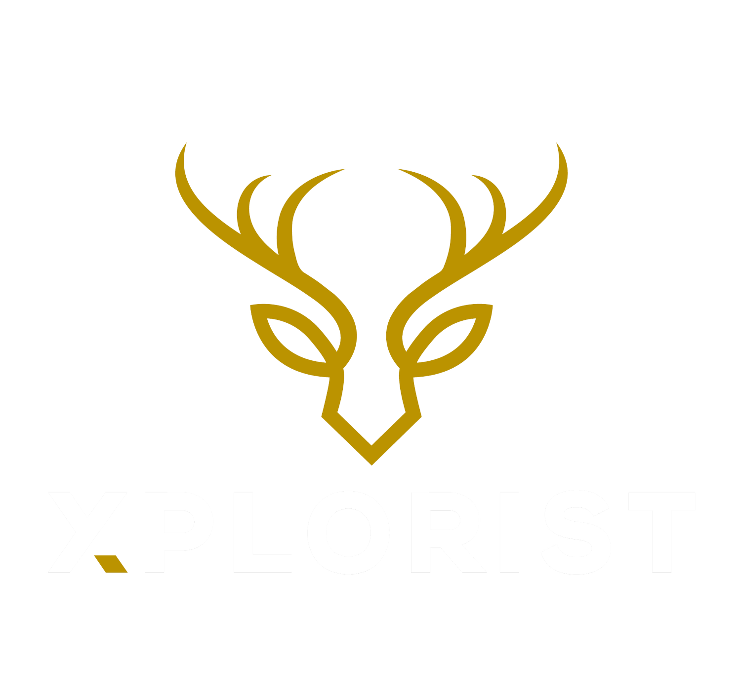 Meet the Crocodiles of the “Croczilla” Everglades Documentary — XPLORIST