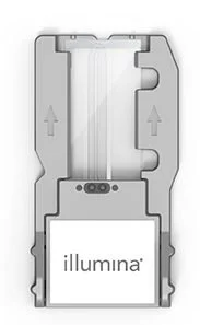 High throughput sequencing w/ Illumina MiSeq i100 — Ryan McNulty