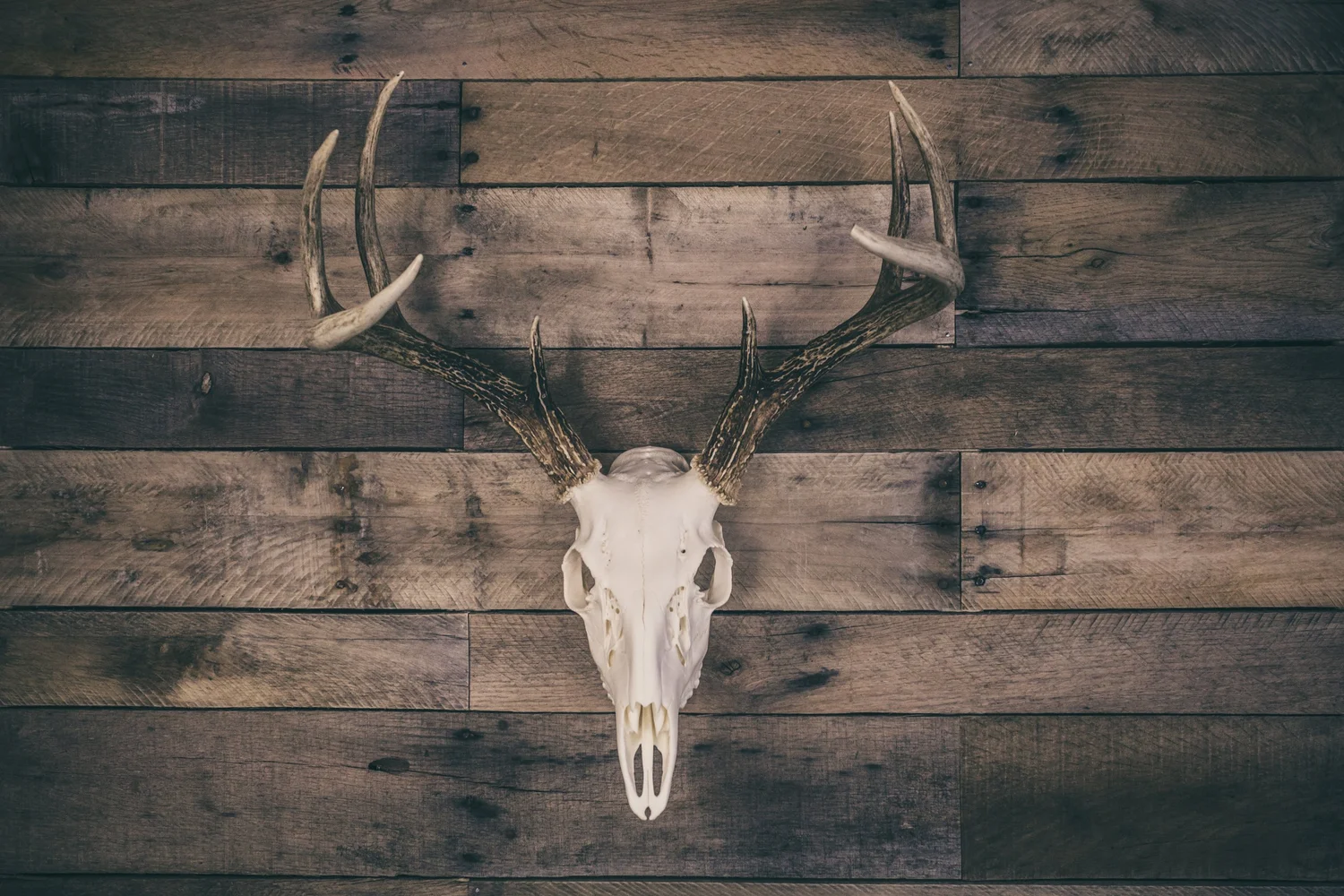 Blinds — Coulee Country Blinds