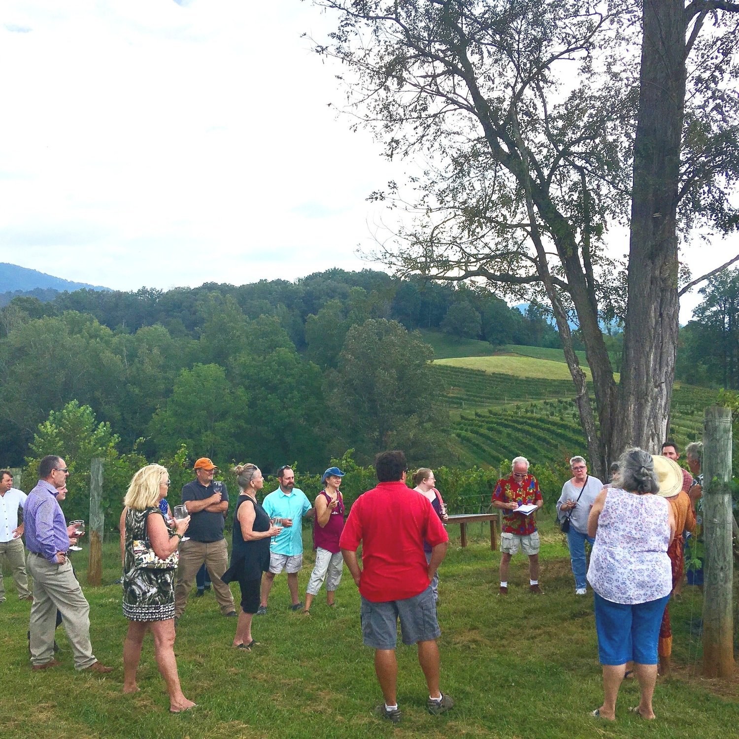 VISIT — Addison Farms Vineyard