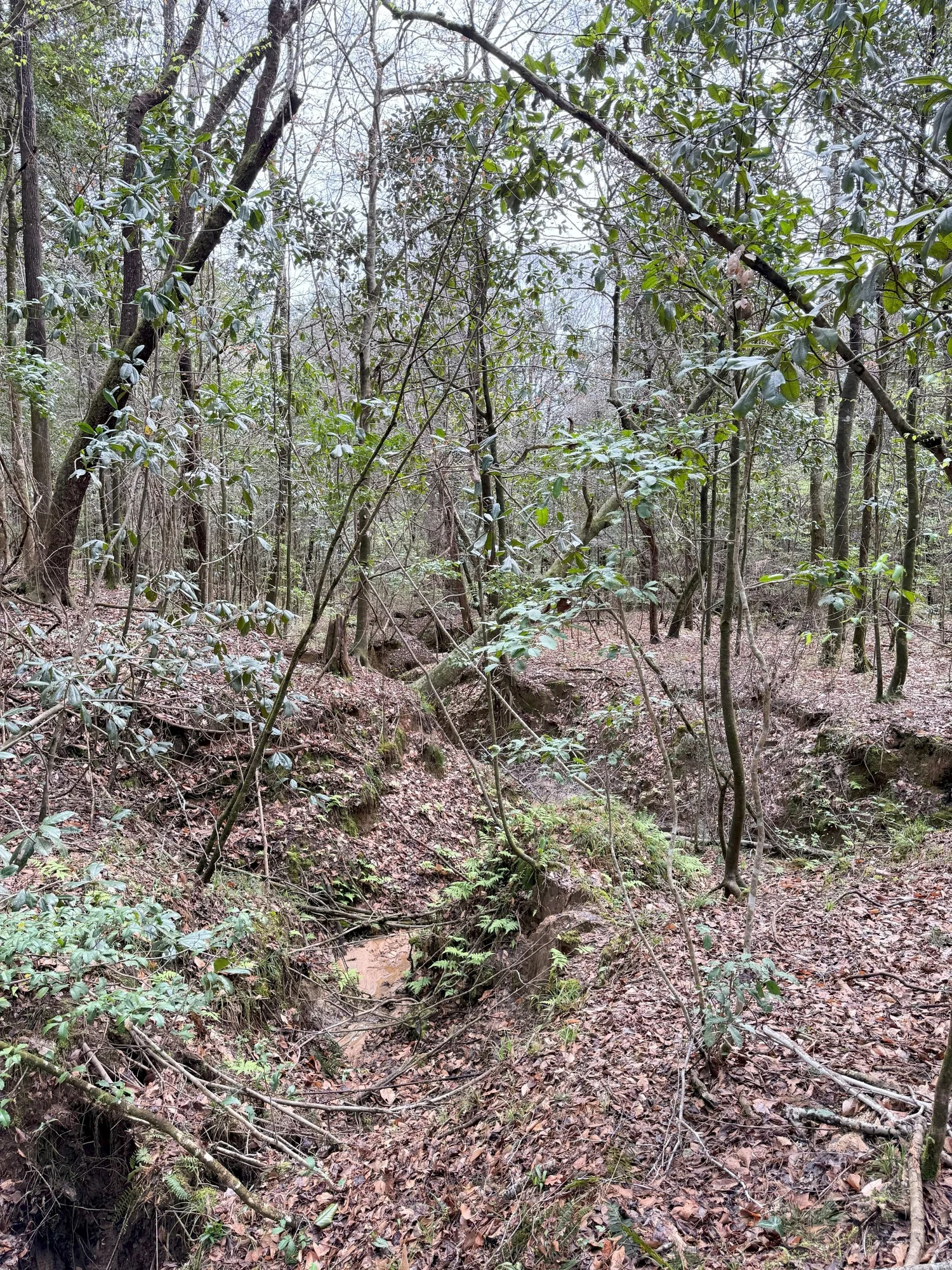 Old Charlie Golf Club