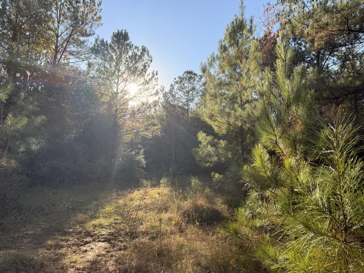 Old Charlie Golf Club | A Private Golf Vacation Club