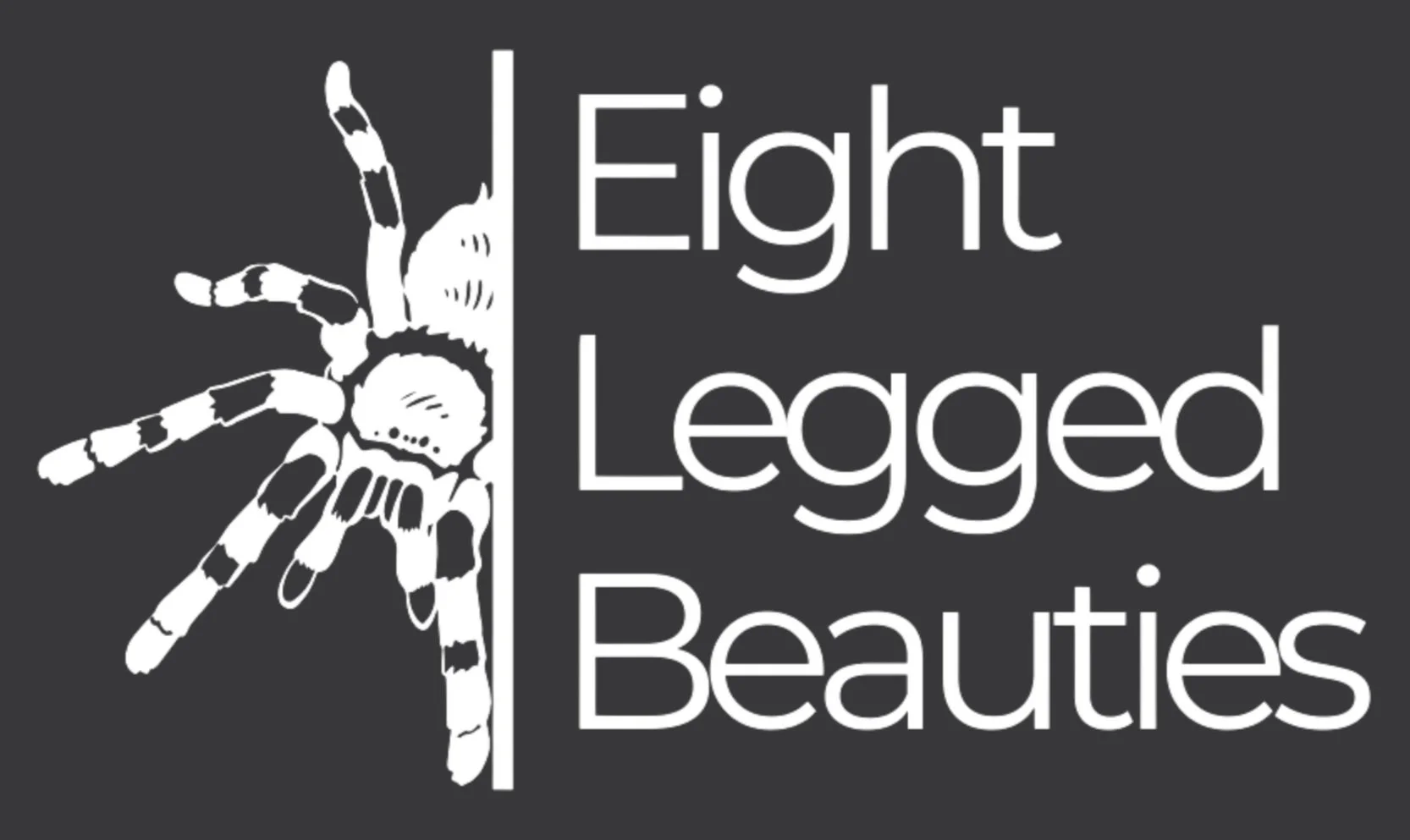 Aphonopelma seemani Care Sheet — Eight Legged Beauties