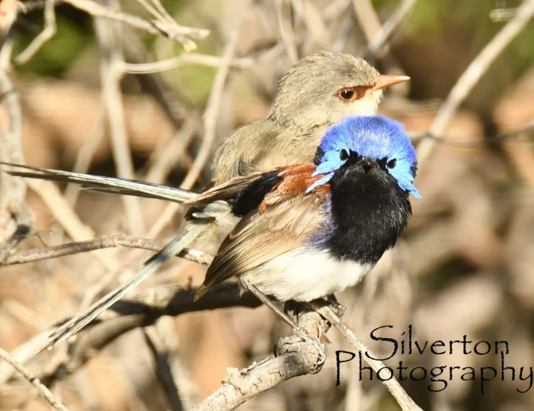 Penrose Park Recreation and Campground