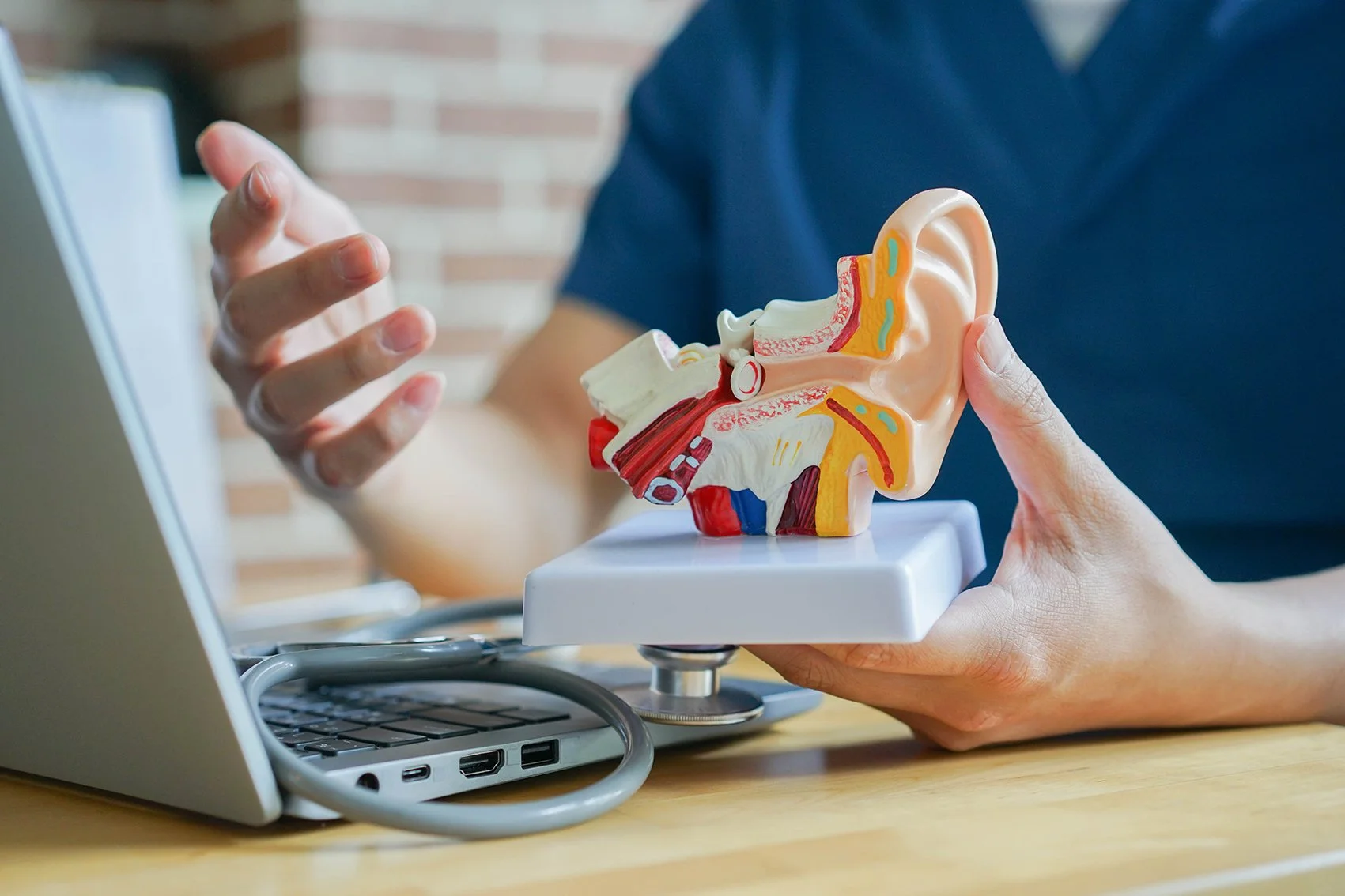 Northern Beaches ENT | Ear, Nose, Throat Surgery NBENT