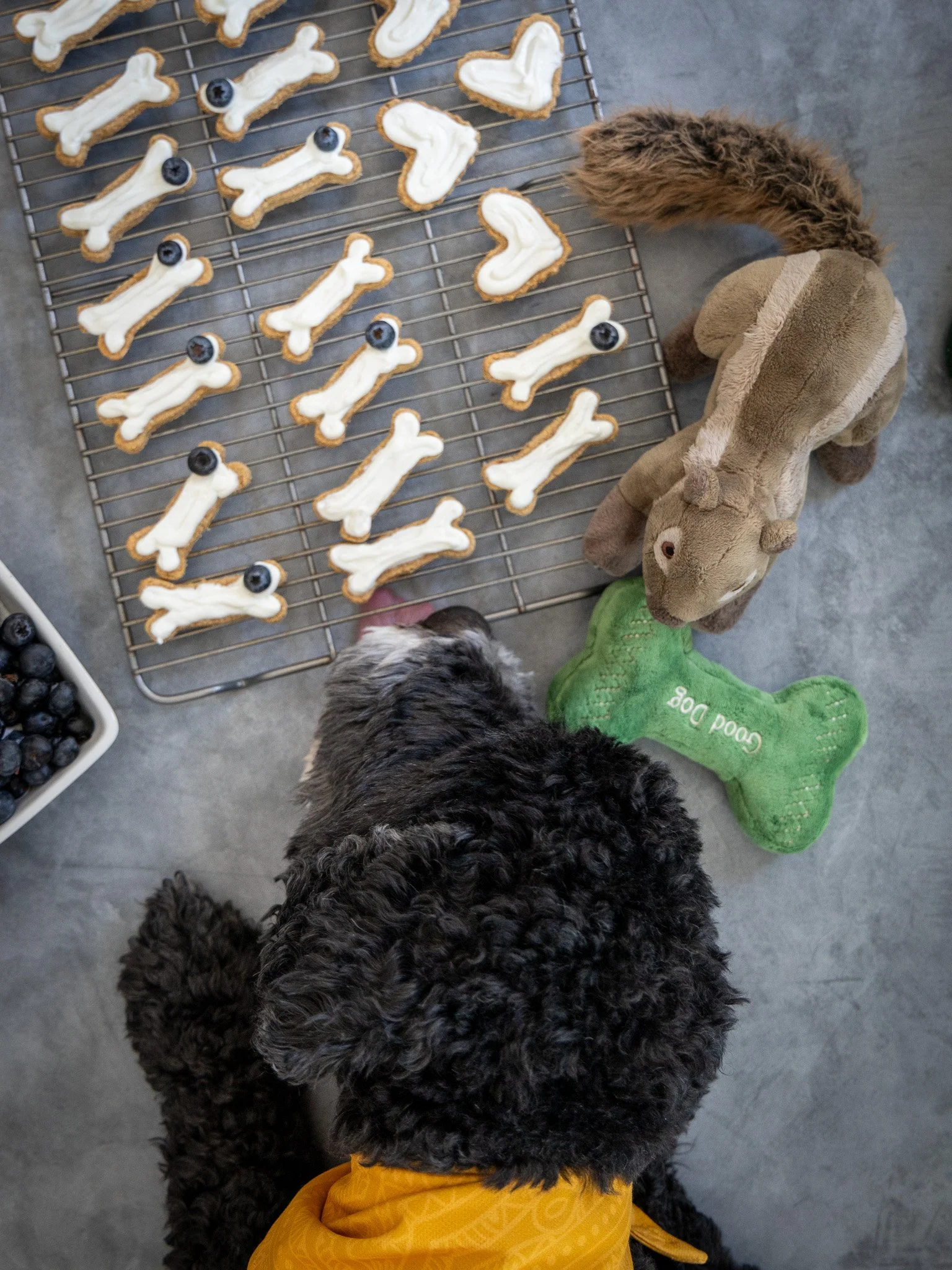 Murphy’s Frosted Dog Bones — Milford Kitchen