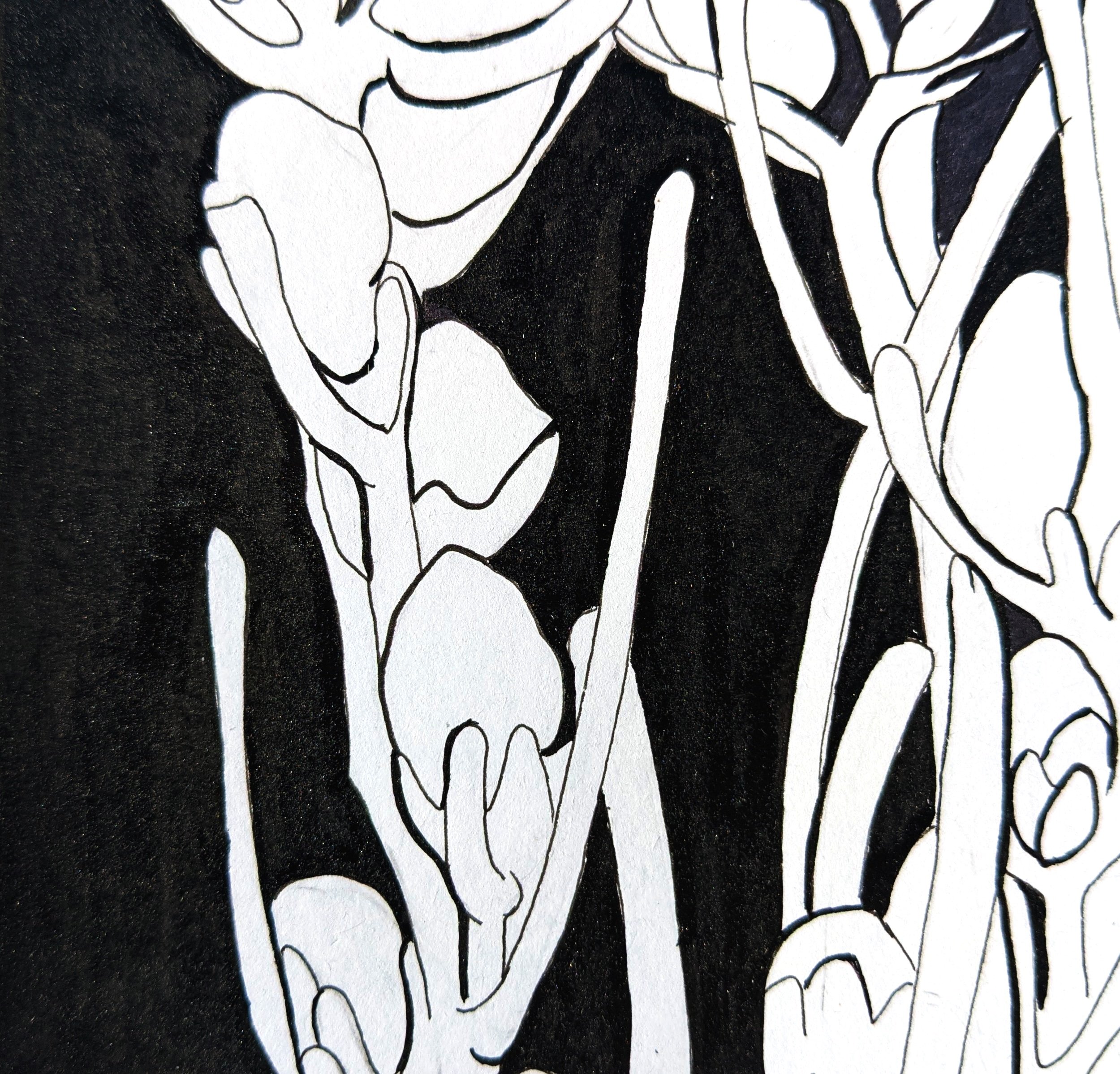 Illustration — Catherine Hatchett Reinhardt