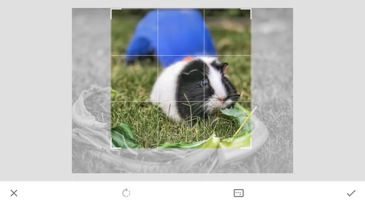 Rule of thirds - grid lines on the iPhone and Android smartphone ...