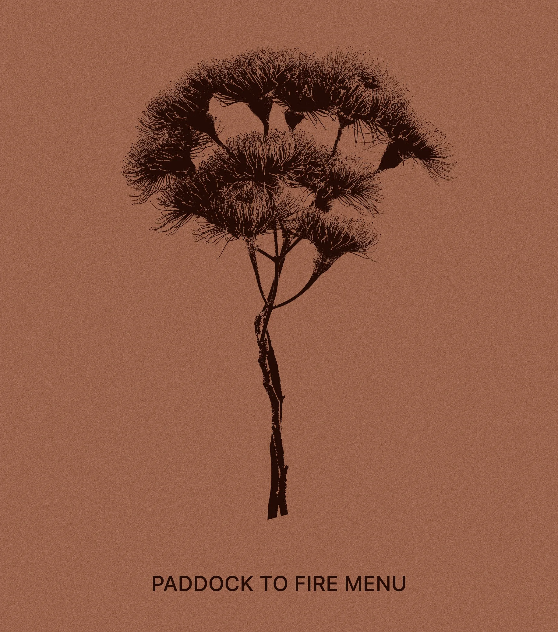 Menu | Discover & Customize Your Menu — Paddock to Plate Catering Co