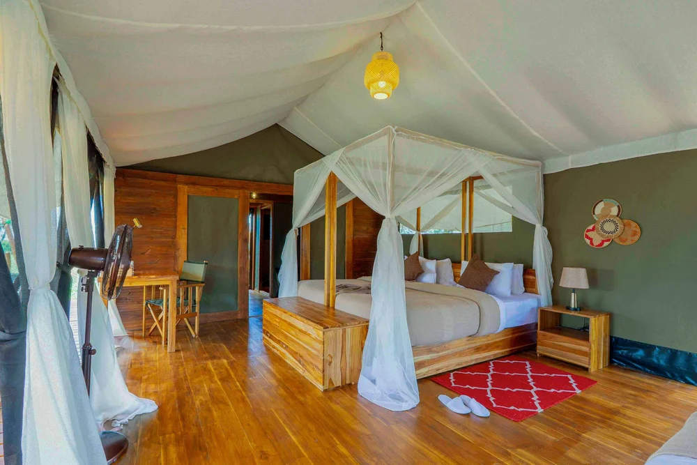 Zuri Camp, Serengeti