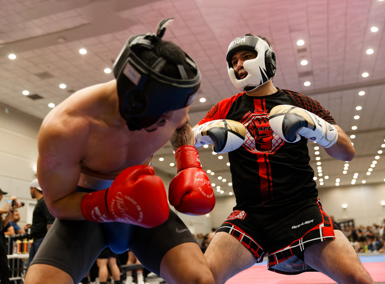 Point Boxing Sparring Circuit