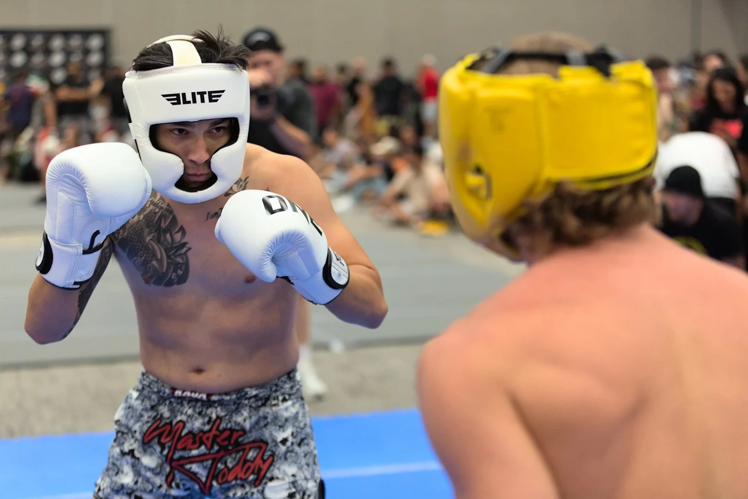 Point Boxing Sparring Circuit
