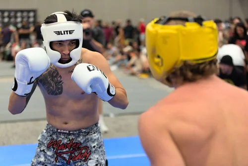 Point Boxing Sparring Circuit