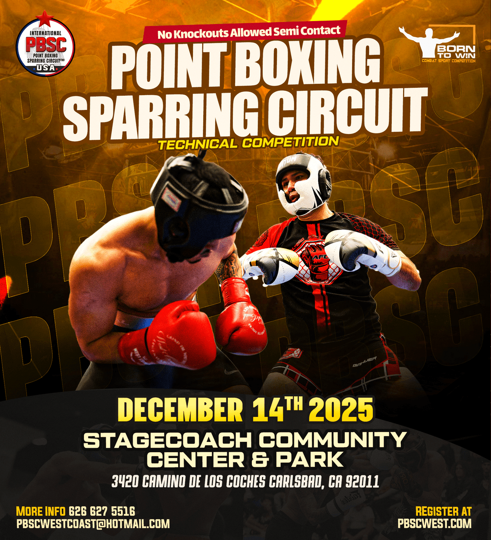Point Boxing Sparring Circuit