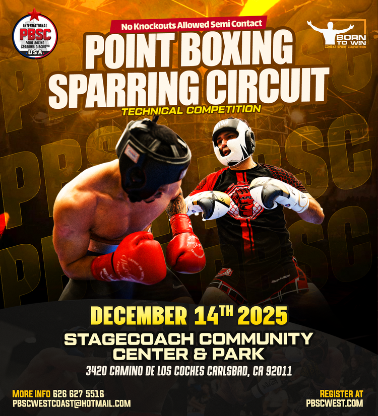 Point Boxing Sparring Circuit
