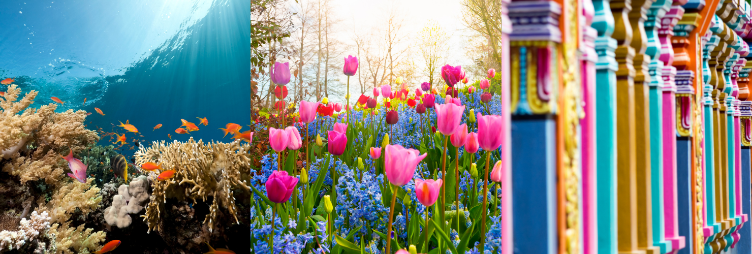 Bright Spring: The Ultimate Color Analysis Guide — GOLDEN LIVING CO.