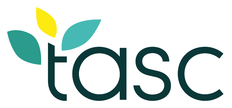 Partners — Carbon Markets Africa