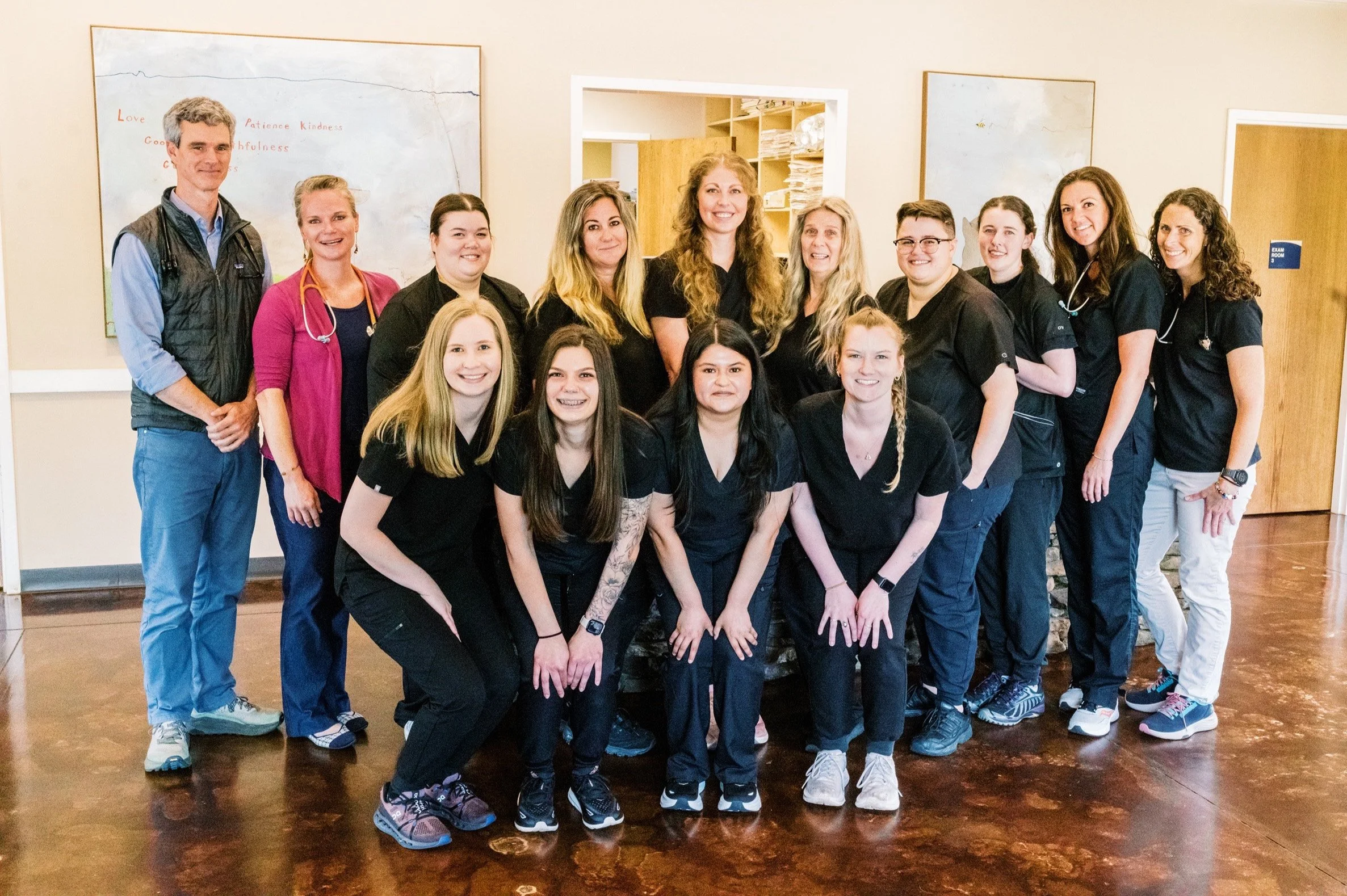 The Animal Hospital at Liberty Highway | Anderson, SC