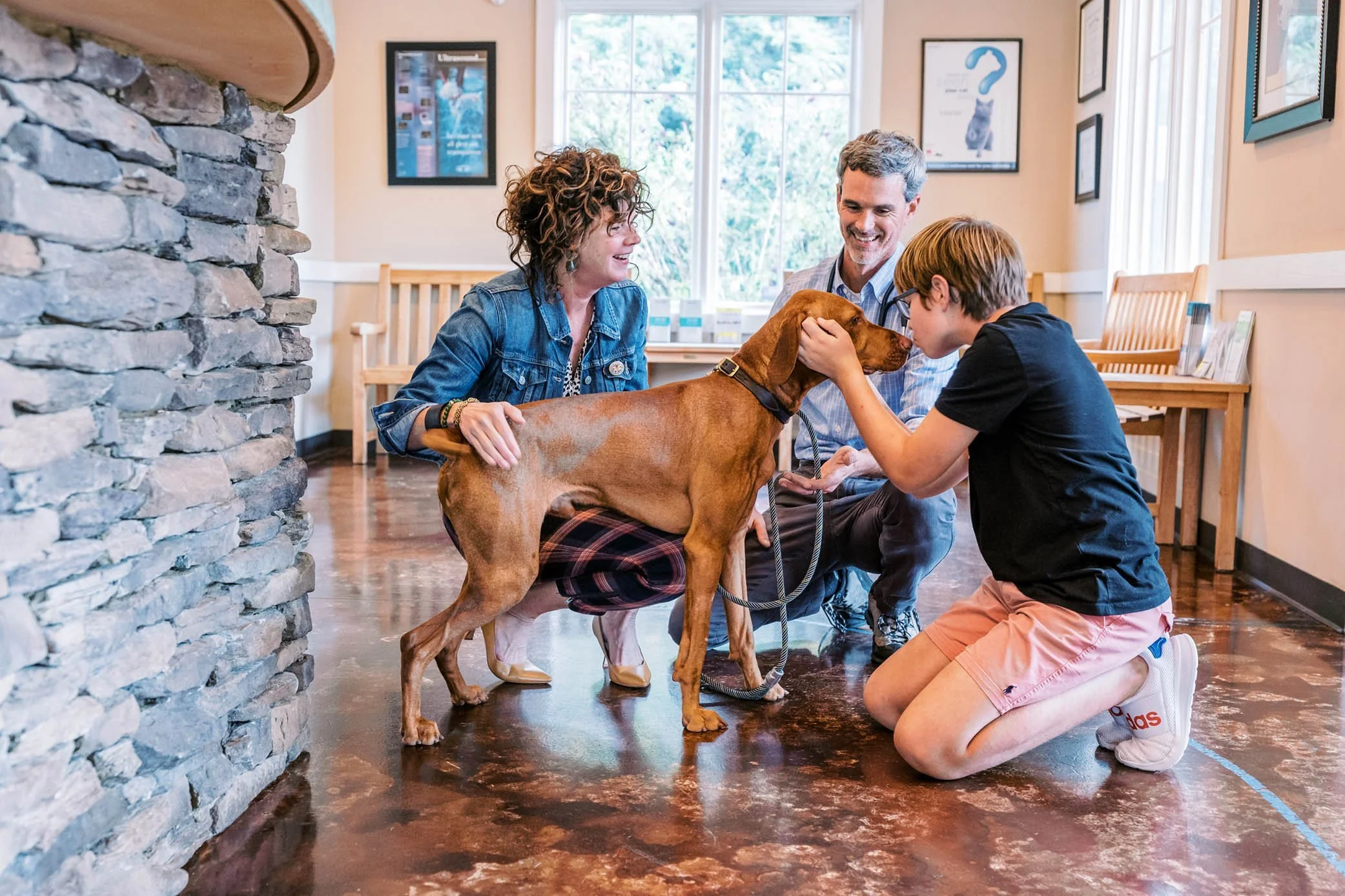 The Animal Hospital at Liberty Highway | Anderson, SC