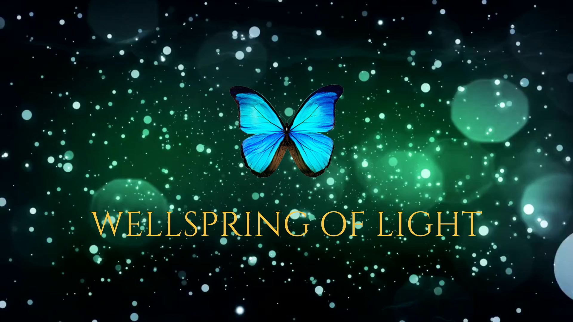 Wellspring of Light
