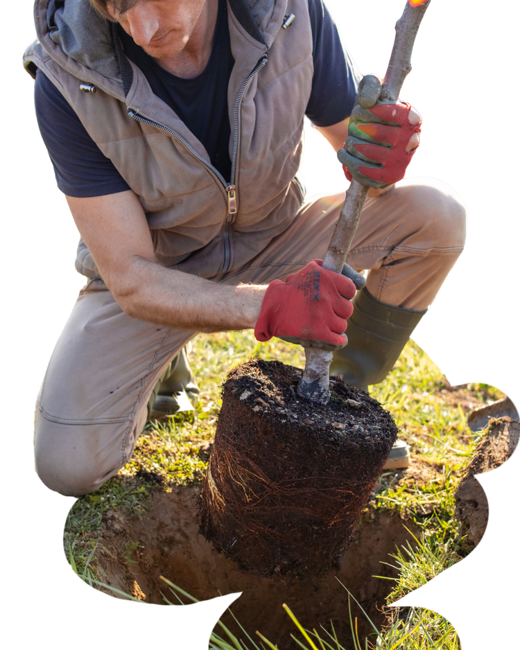 Making Space For Water