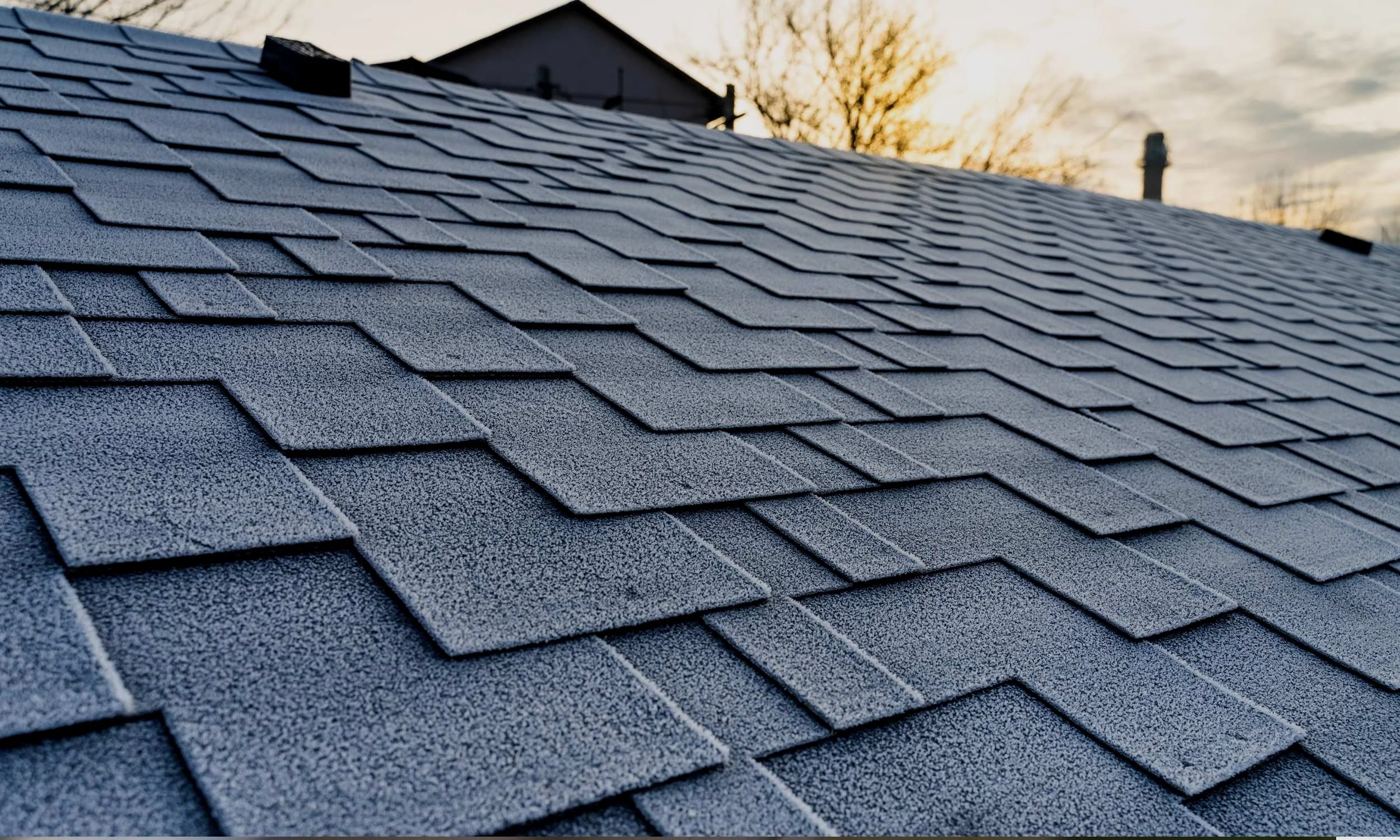 Topside Roofing - Bellingham’s Top Roofing Company
