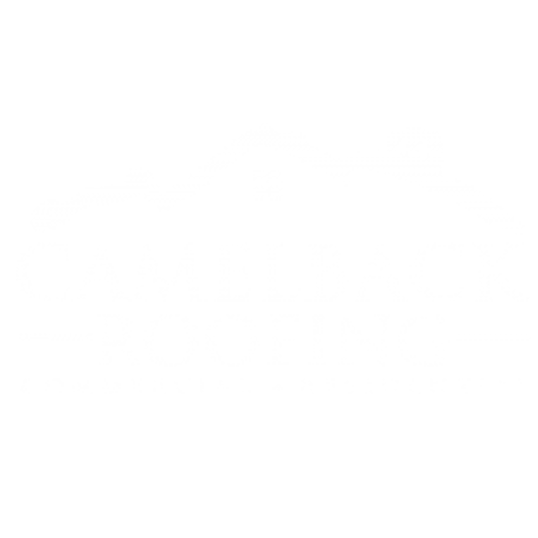 Camelback Roofing