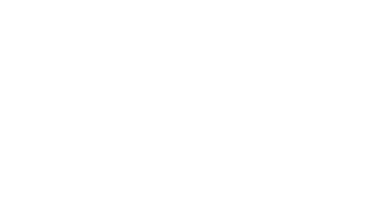Tim Fleming for Secretary of State