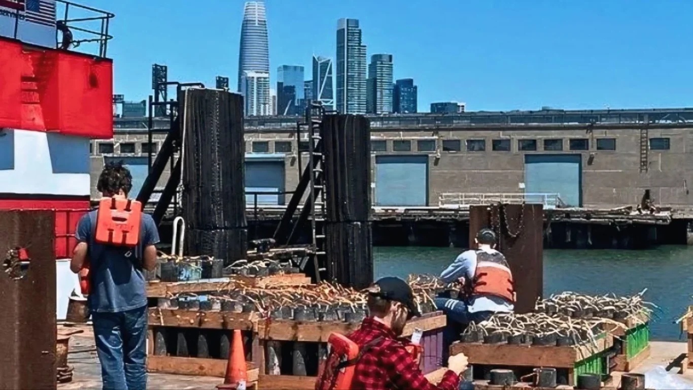 Specialty Barge Services Across San Francisco Bay — Westar Marine Services