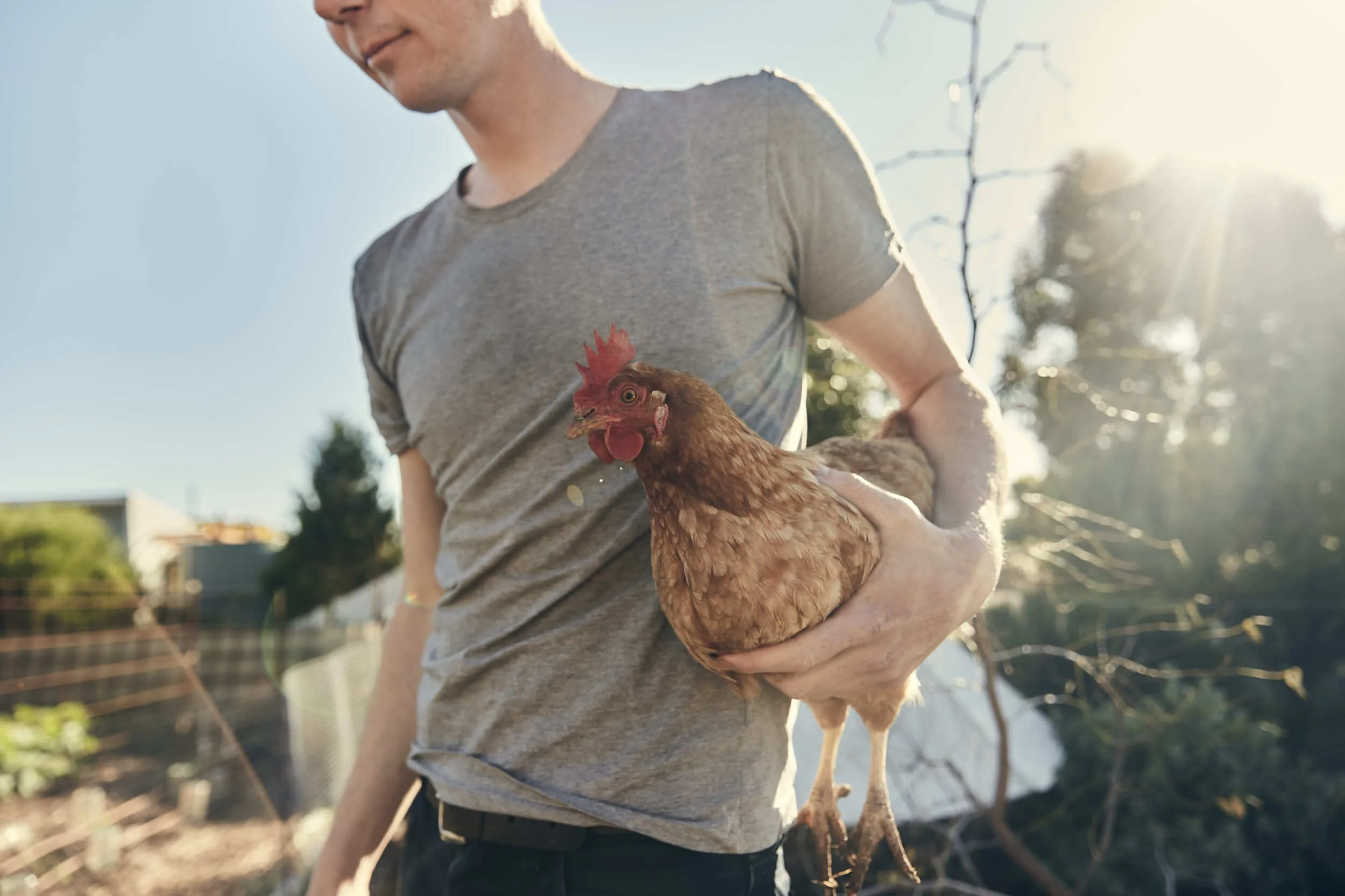 Permaculture South Australia | Sustainable Living Across SA